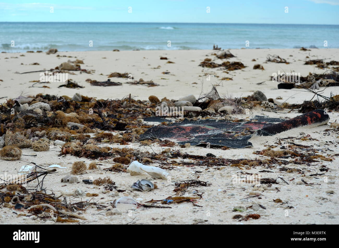 Garbage, plastic waste and heaps of dead marine plants and animals ...