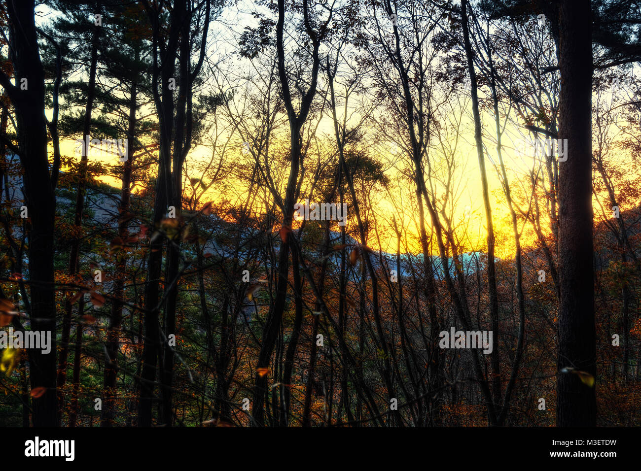 Mount Fuji taken in 2015 Stock Photo - Alamy