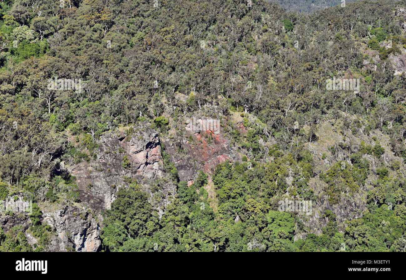 Bunya mountain national park hi-res stock photography and images - Alamy
