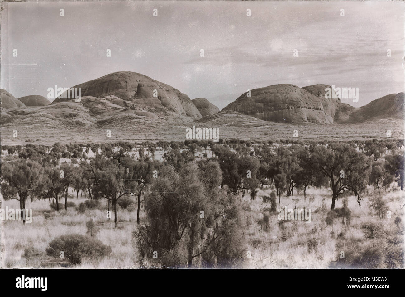 in australia the concept of wilderness environment in the landscape ...