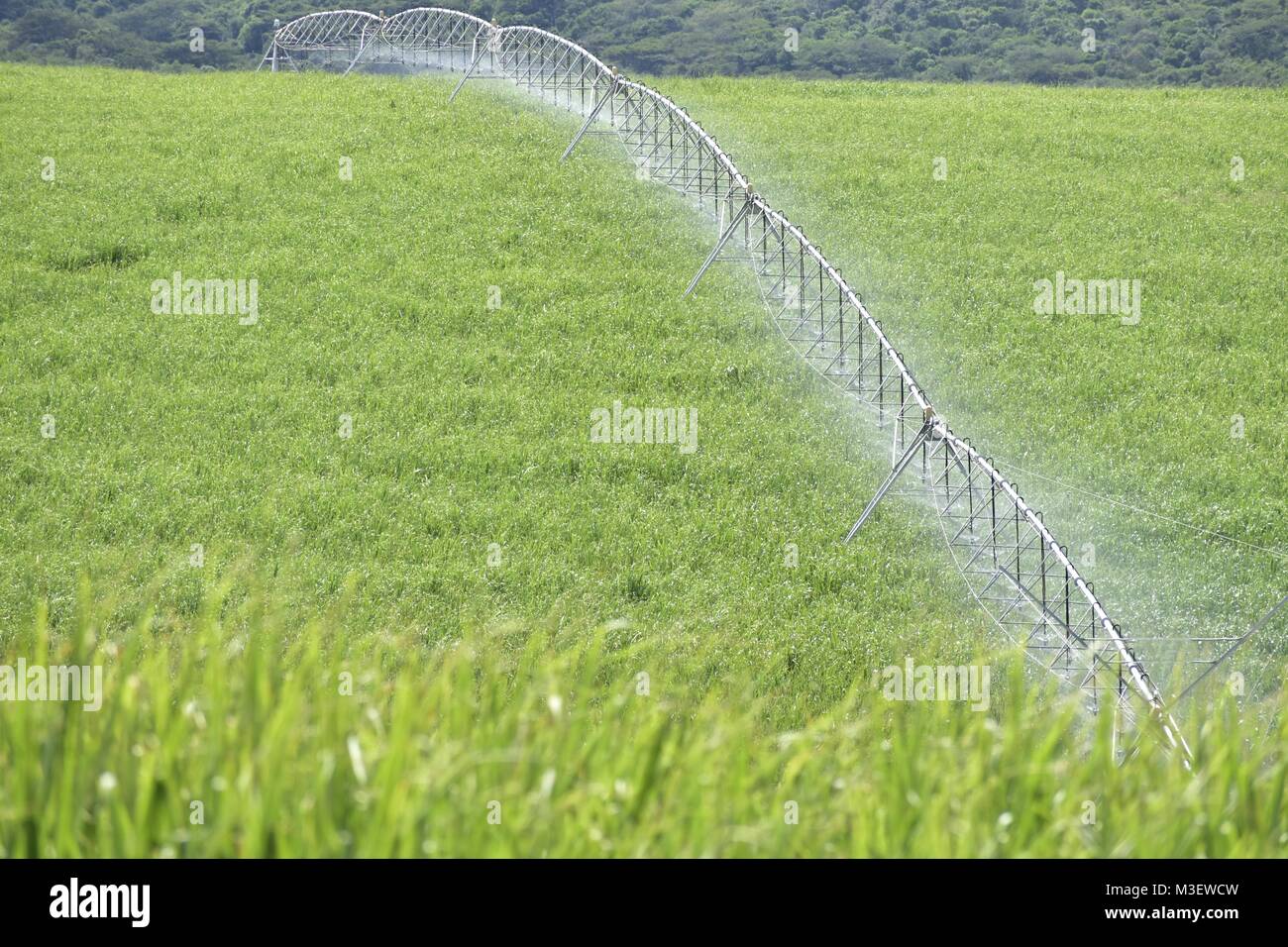 Combating Drought Through Irrigation Stock Photo - Alamy
