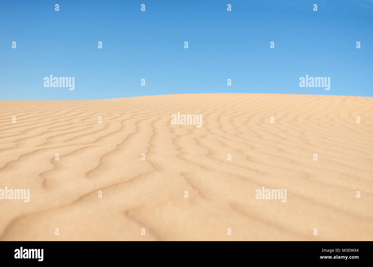Altar Desert taken in 2015 Stock Photo - Alamy