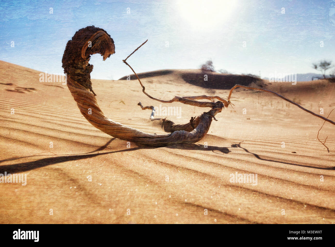 Altar Desert taken in 2015 Stock Photo - Alamy