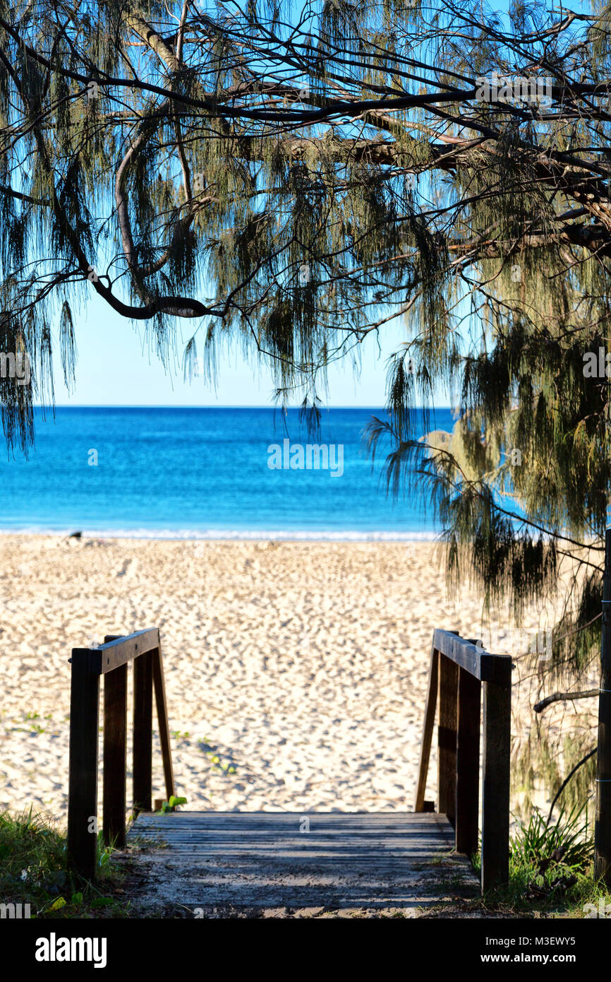 in australia brisbane the beach and the tourism near ocean Stock Photo ...