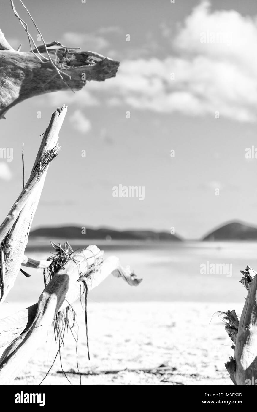 Whitehaven beach Black and White Stock Photos & Images - Alamy