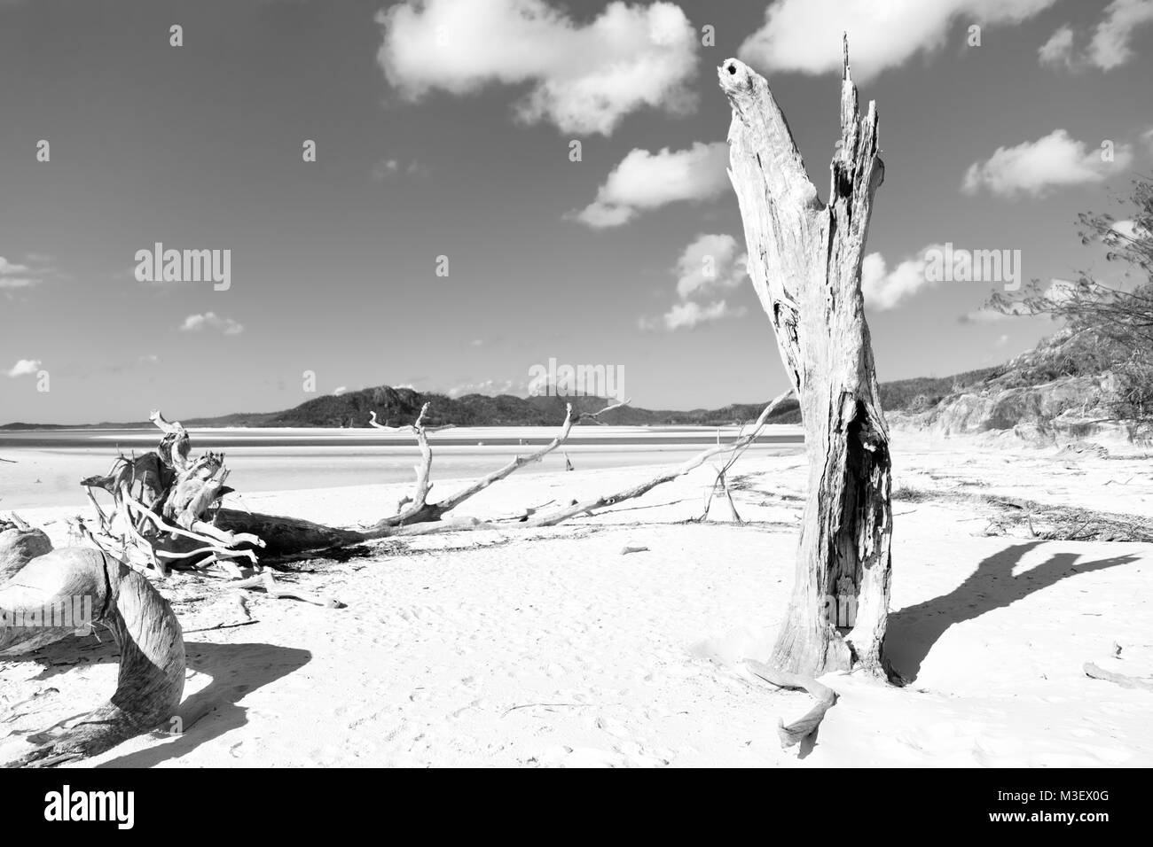 Australia queensland whitehaven beach whitsunday Black and White Stock ...