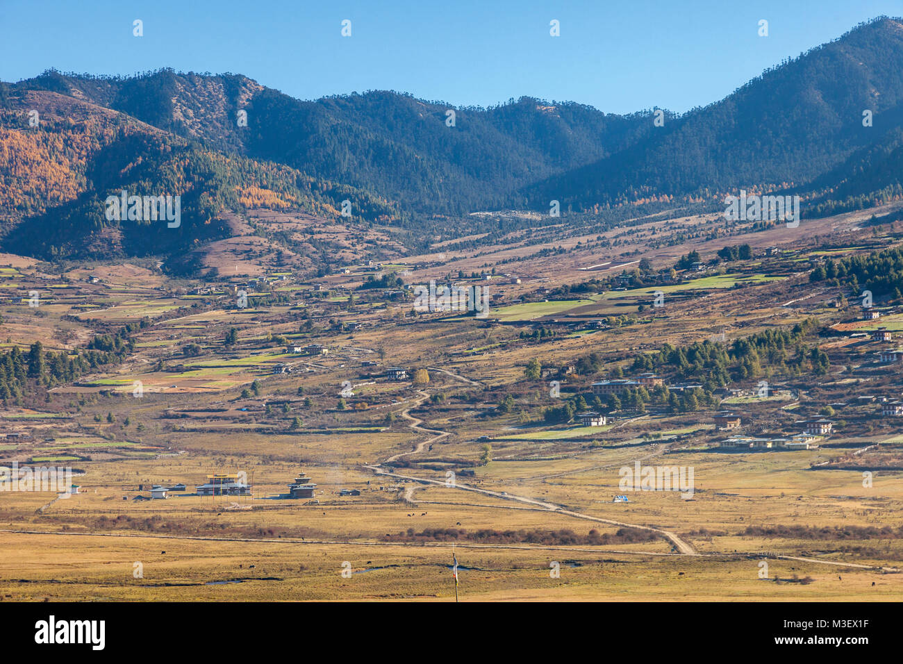 Phobjikha, Bhutan. Valley Scenes, Farmland and Settlements Stock Photo ...