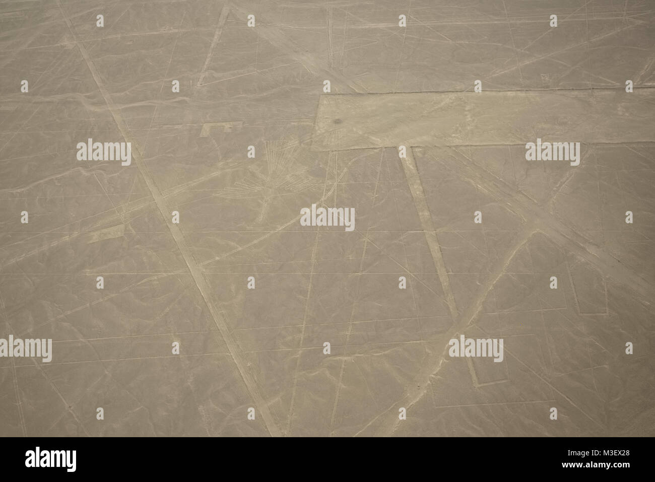 The Condor Nazca Lines Nazca Desert, Peru Stock Photo - Alamy