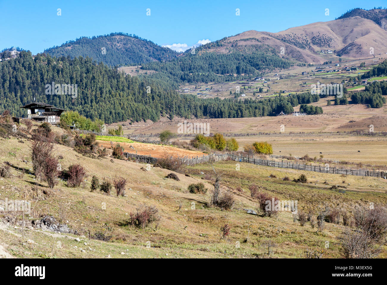Phobjikha, Bhutan. Valley Scenes, Farmland and Settlements Stock Photo ...