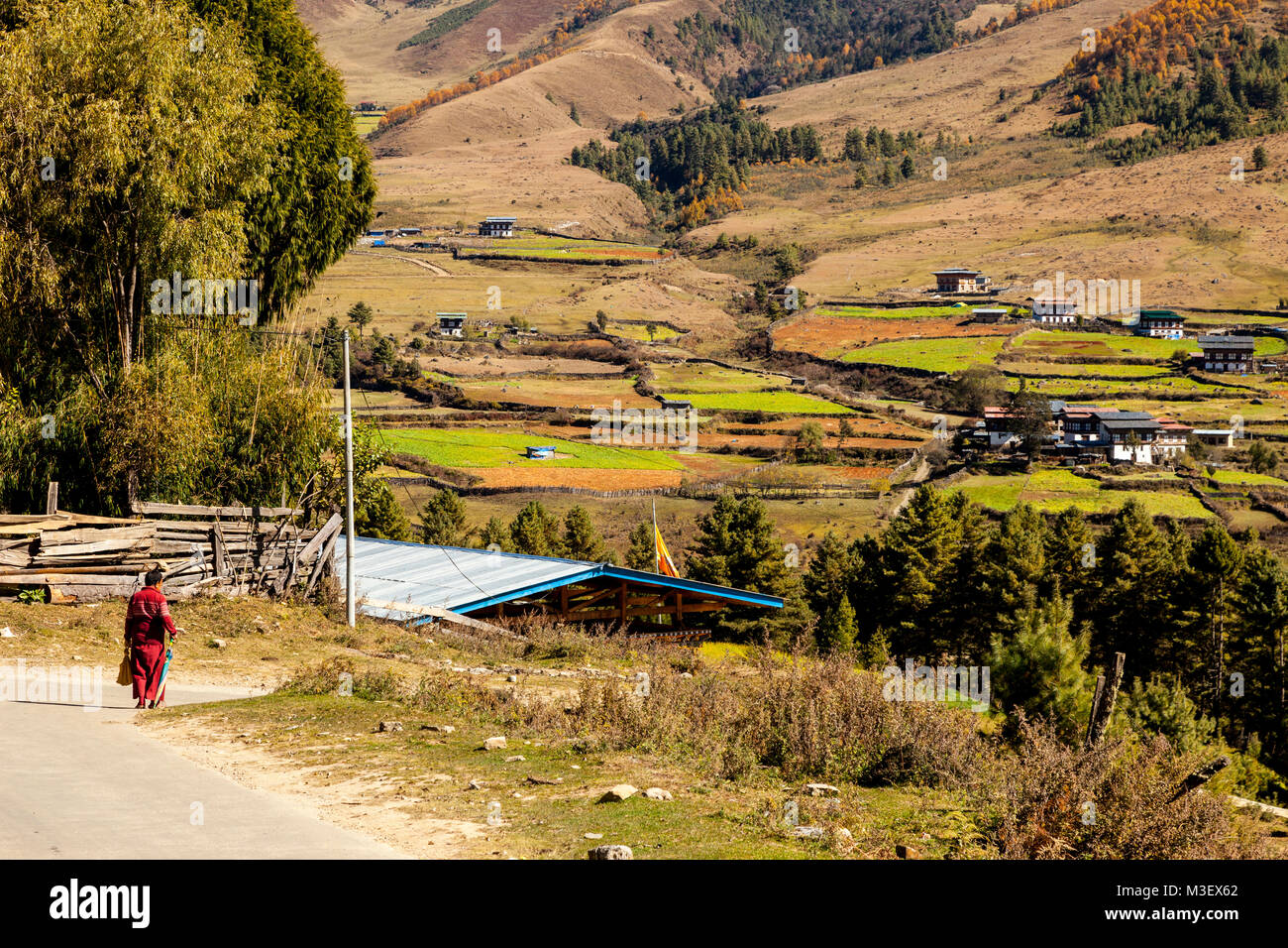 Phobjikha, Bhutan. Valley Scenes, Farmland and Settlements Stock Photo ...