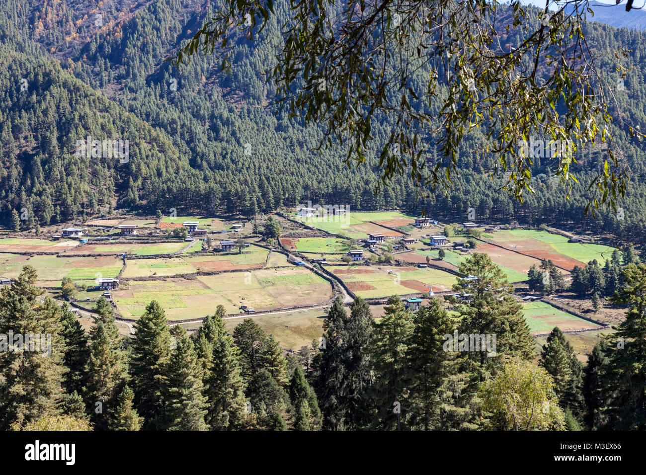Phobjikha, Bhutan. Valley Scenes, Farmland and Settlements Stock Photo ...