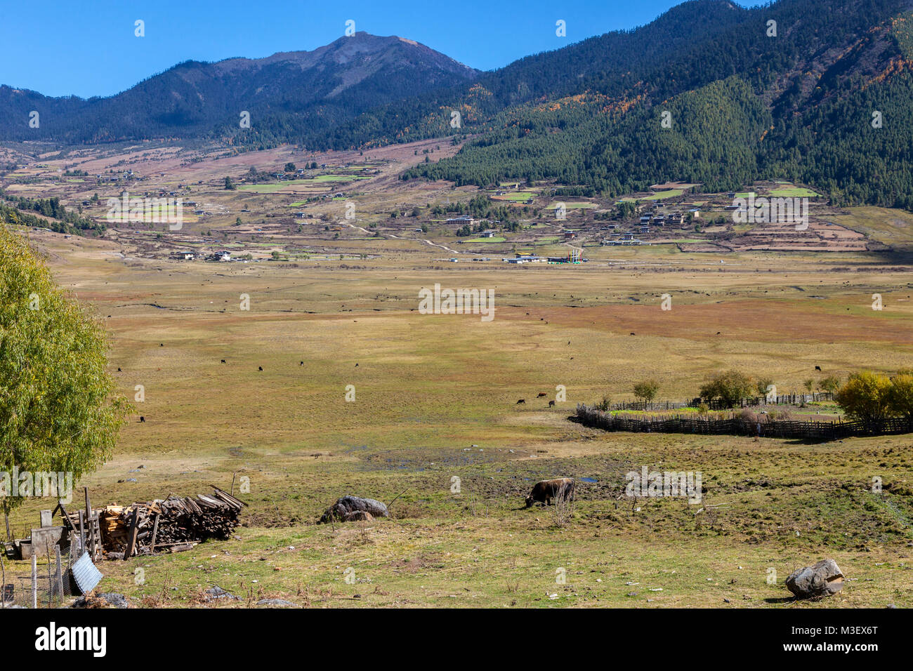 Phobjikha valley hi-res stock photography and images - Alamy