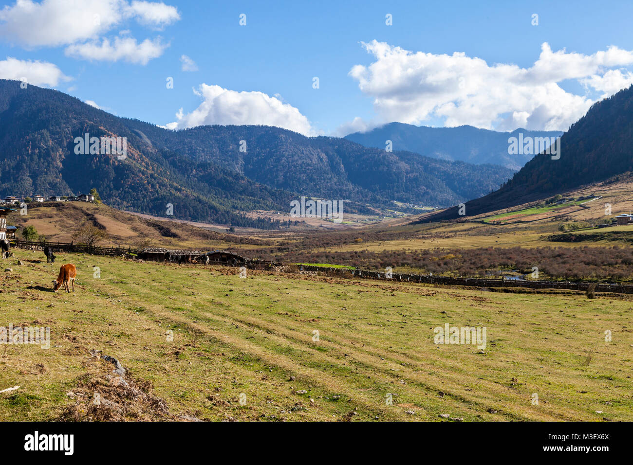 Phobjikha, Bhutan. Phobjikha Valley, a Valley Carved by Glacial Action ...
