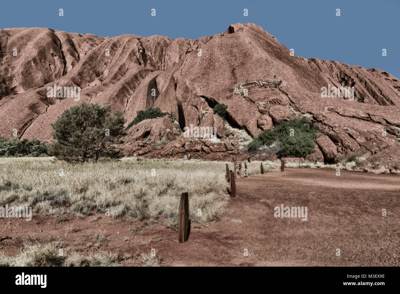 in australia the outback nature wild and the sacred mountain for the ...