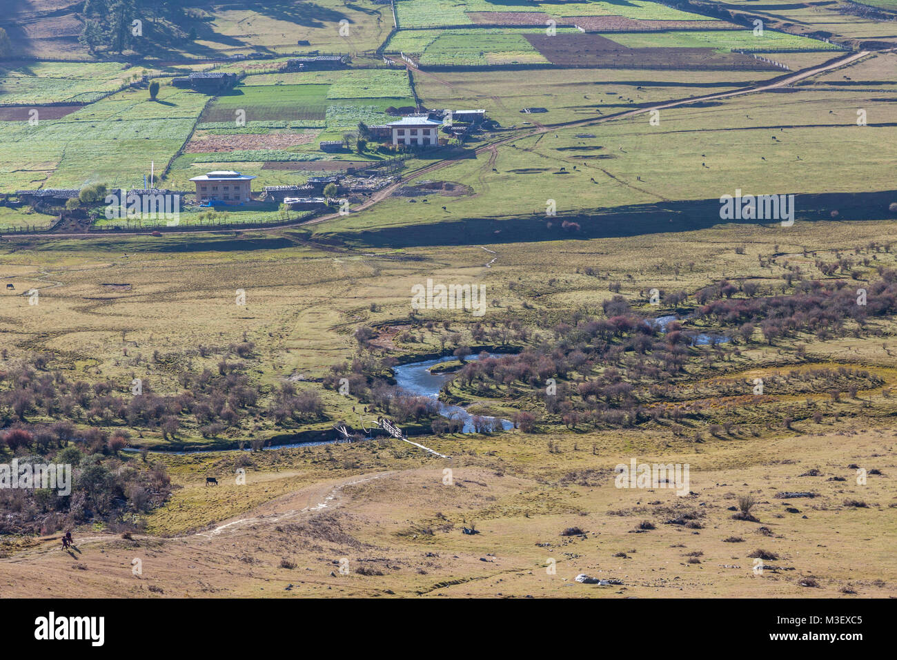 Phobjikha, Bhutan. Farms in Phobjikha valley Stock Photo - Alamy