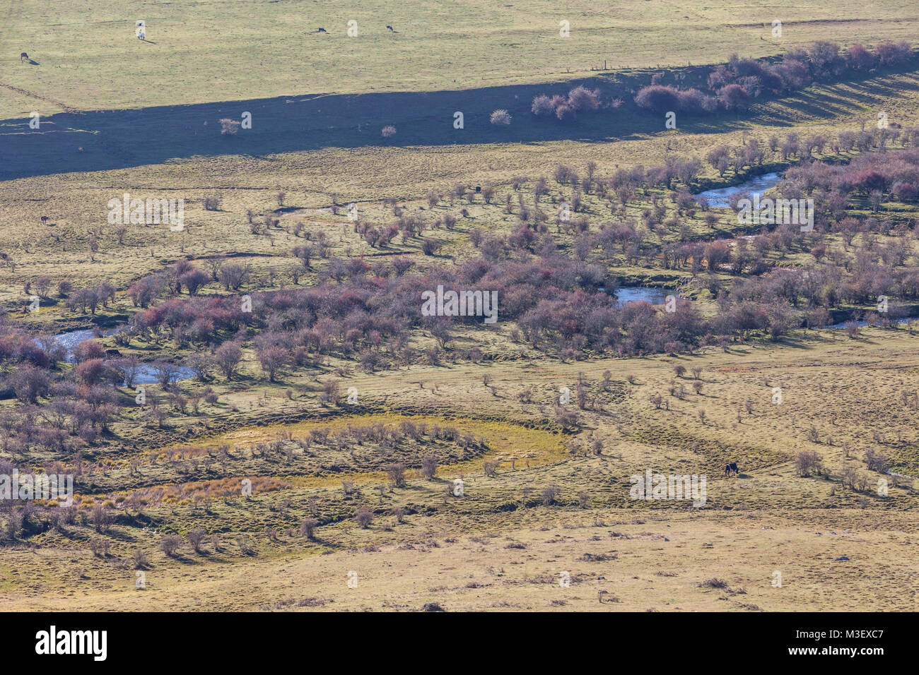 Phobjikha, Bhutan. Stream Flows through Phobjikha Valley, a RAMSAR ...