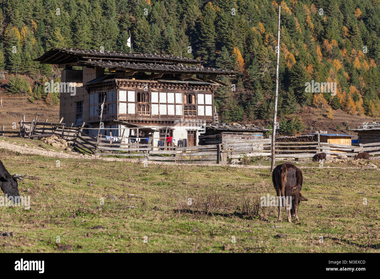 Bhutanese village hi-res stock photography and images - Alamy