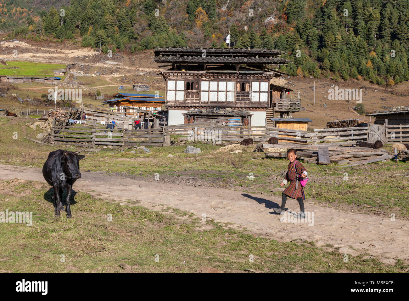 Phobjikha, Bhutan. Typical Middle-class Rural Farmhouse, Kikorthang ...