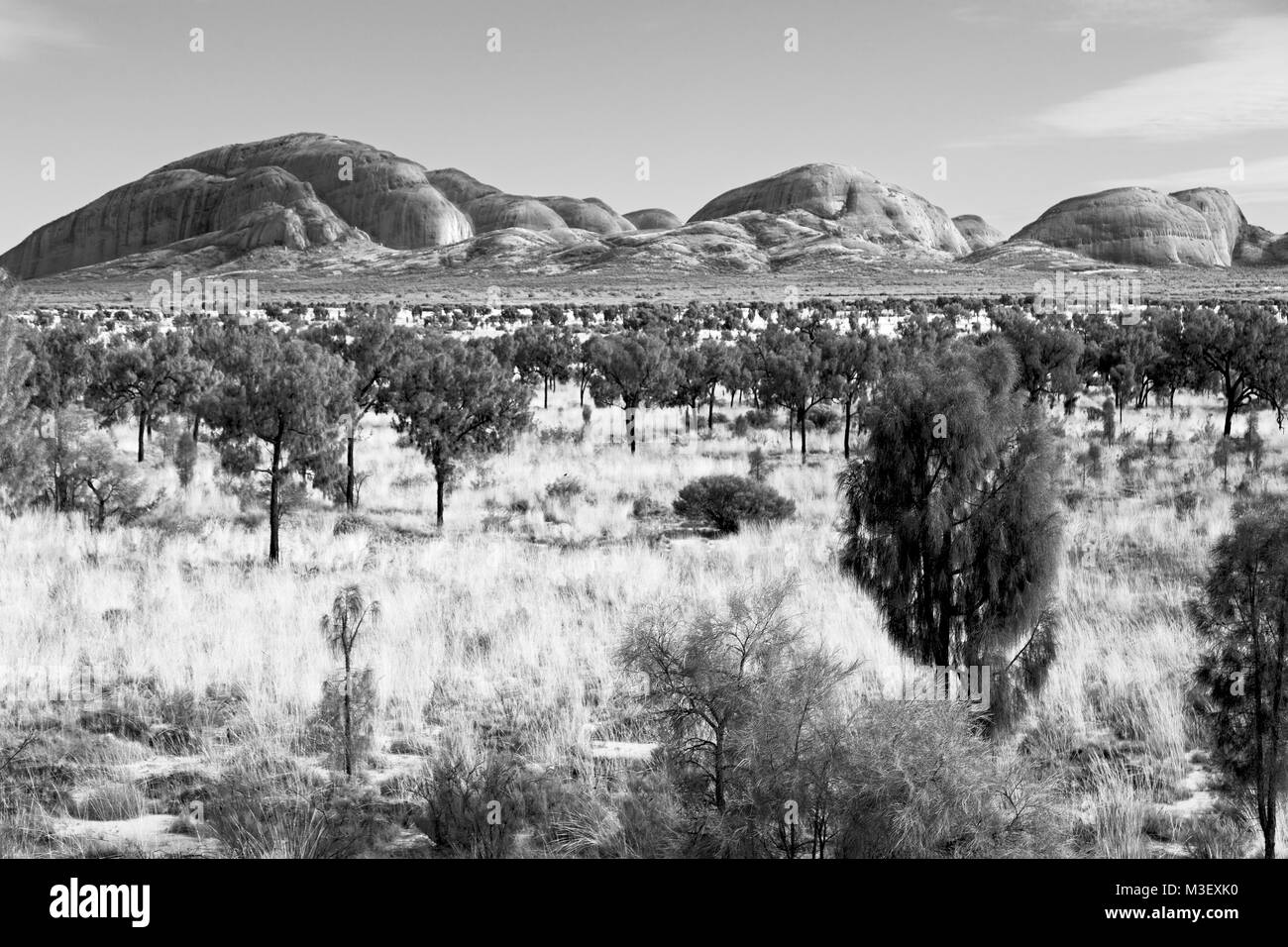 in australia the concept of wilderness environment in the landscape ...