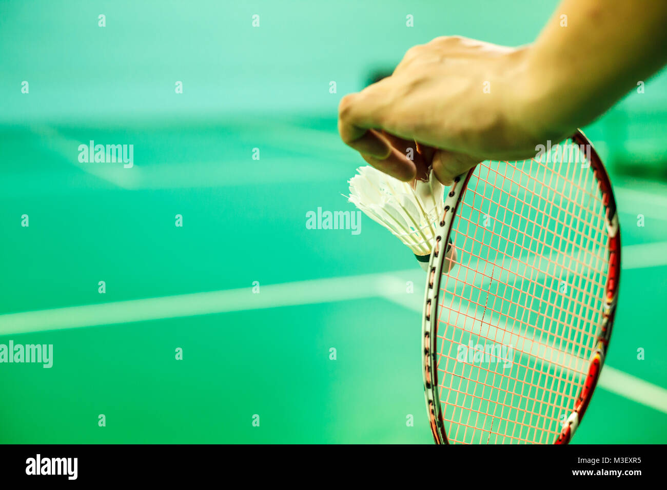 Closeup Badminton player hand holding the shuttle cock together with ...