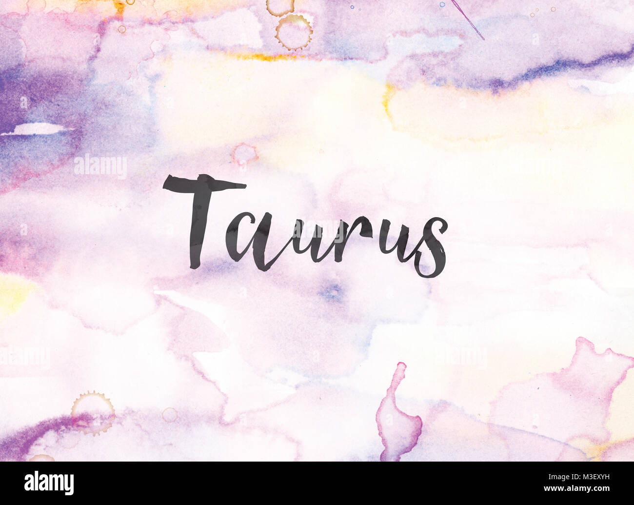 The word Taurus concept and theme written in black ink on a colorful ...