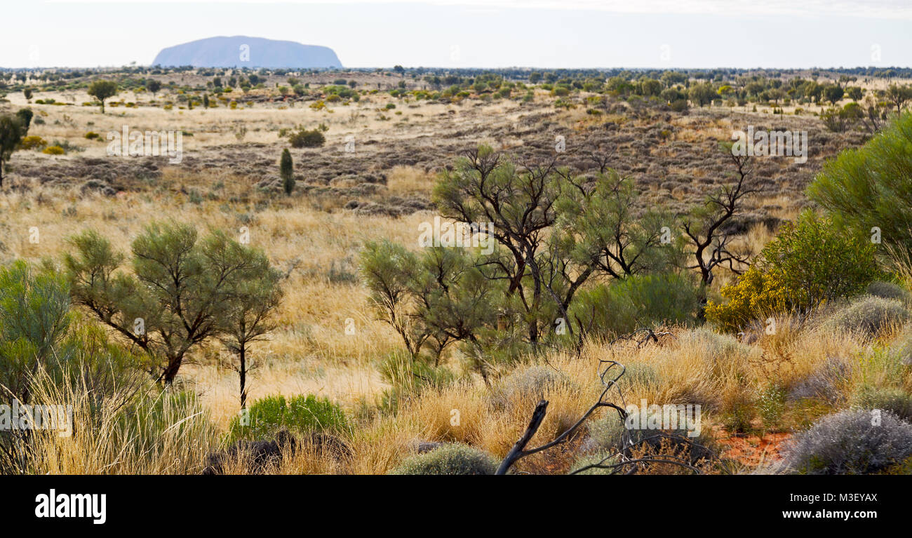 in australia the concept of wilderness environment in the landscape ...