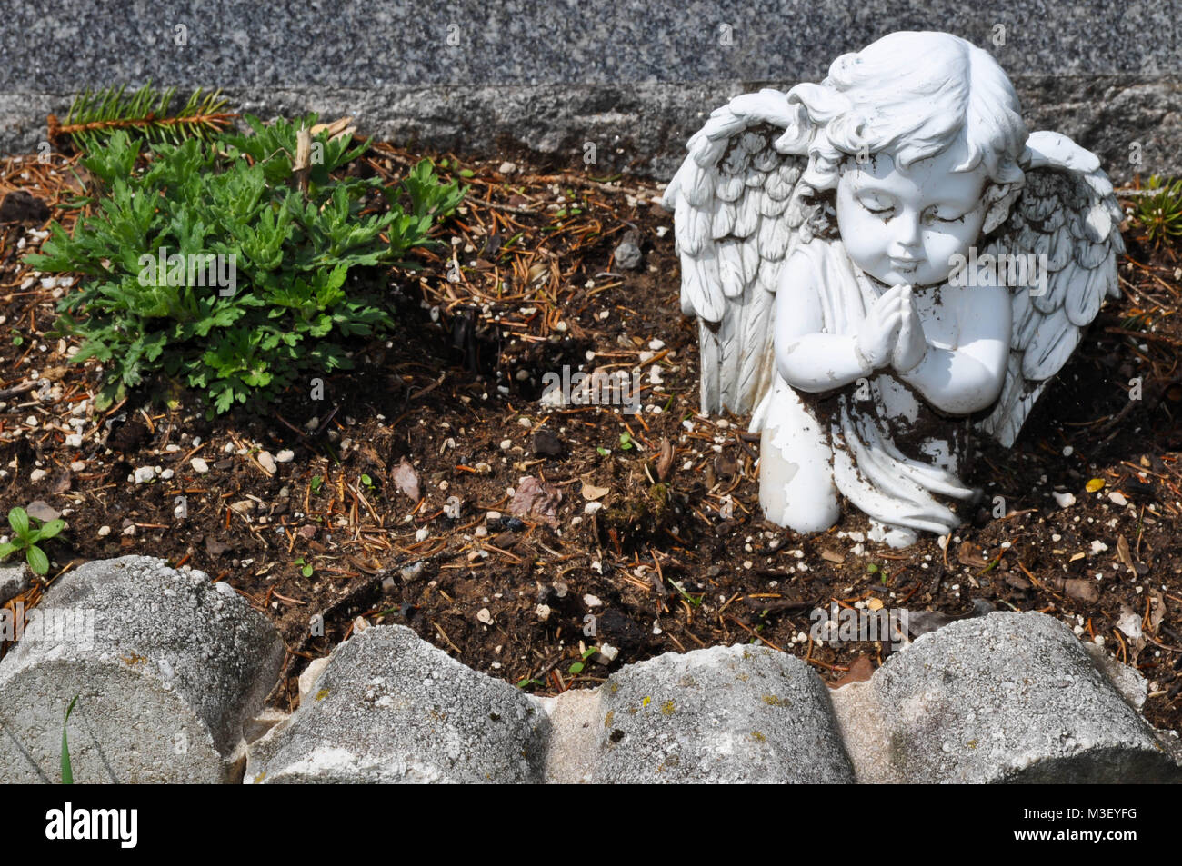 Angel Statue in a Catholic Cemetery Stock Photo - Alamy