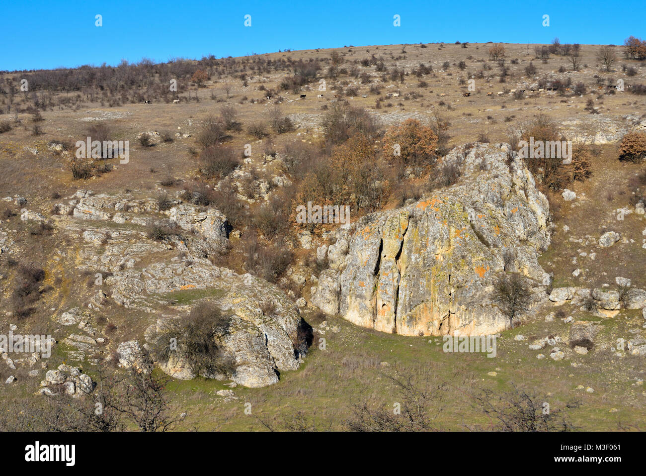 Dobruja hi-res stock photography and images - Alamy