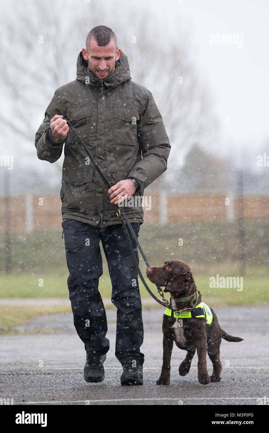 Snipe the dog, with Ross Stephenson, in Warrington where it is training ...