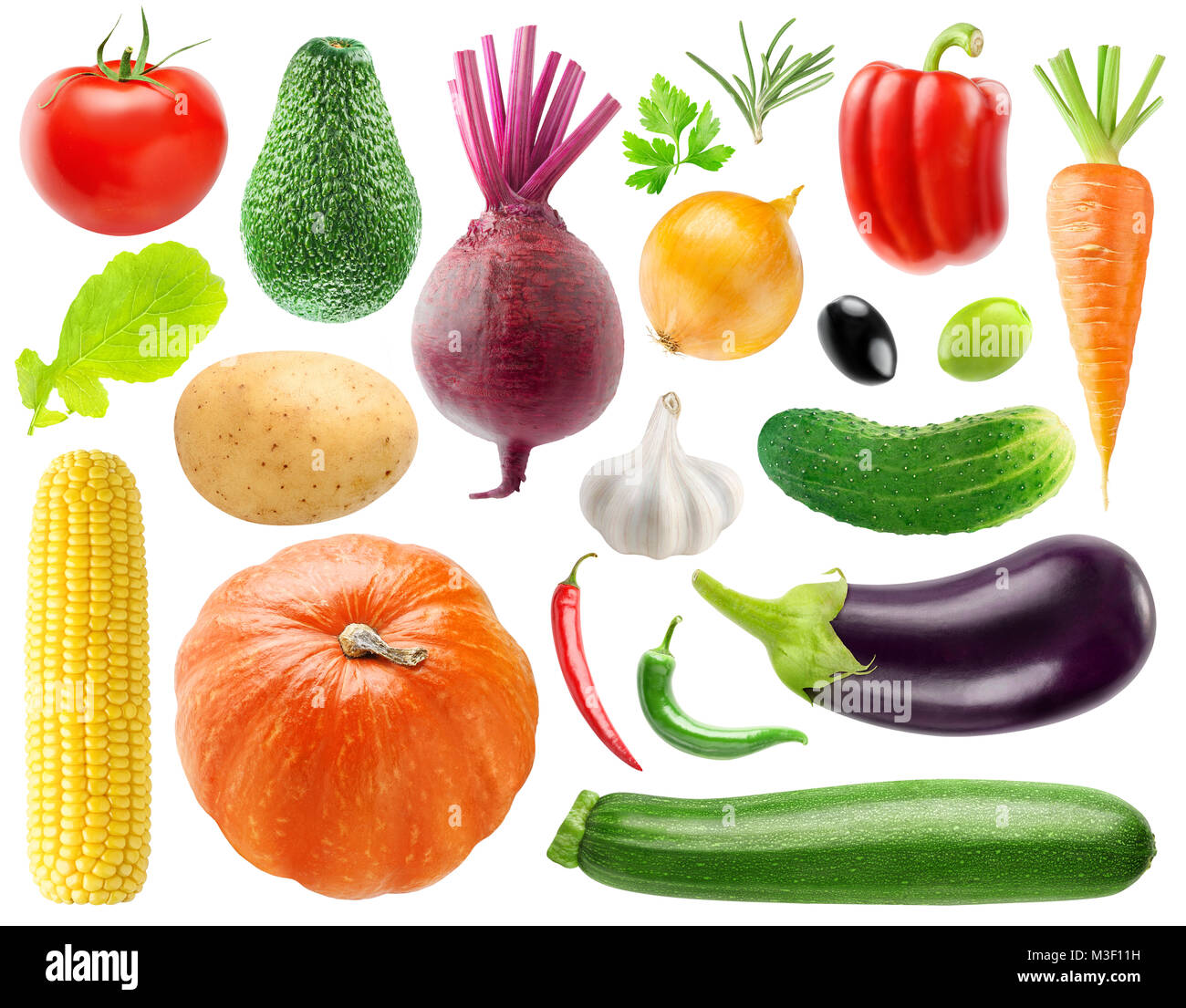 Isolated collection of 20 vegetables and herbs. Tomato, potato, beet ...