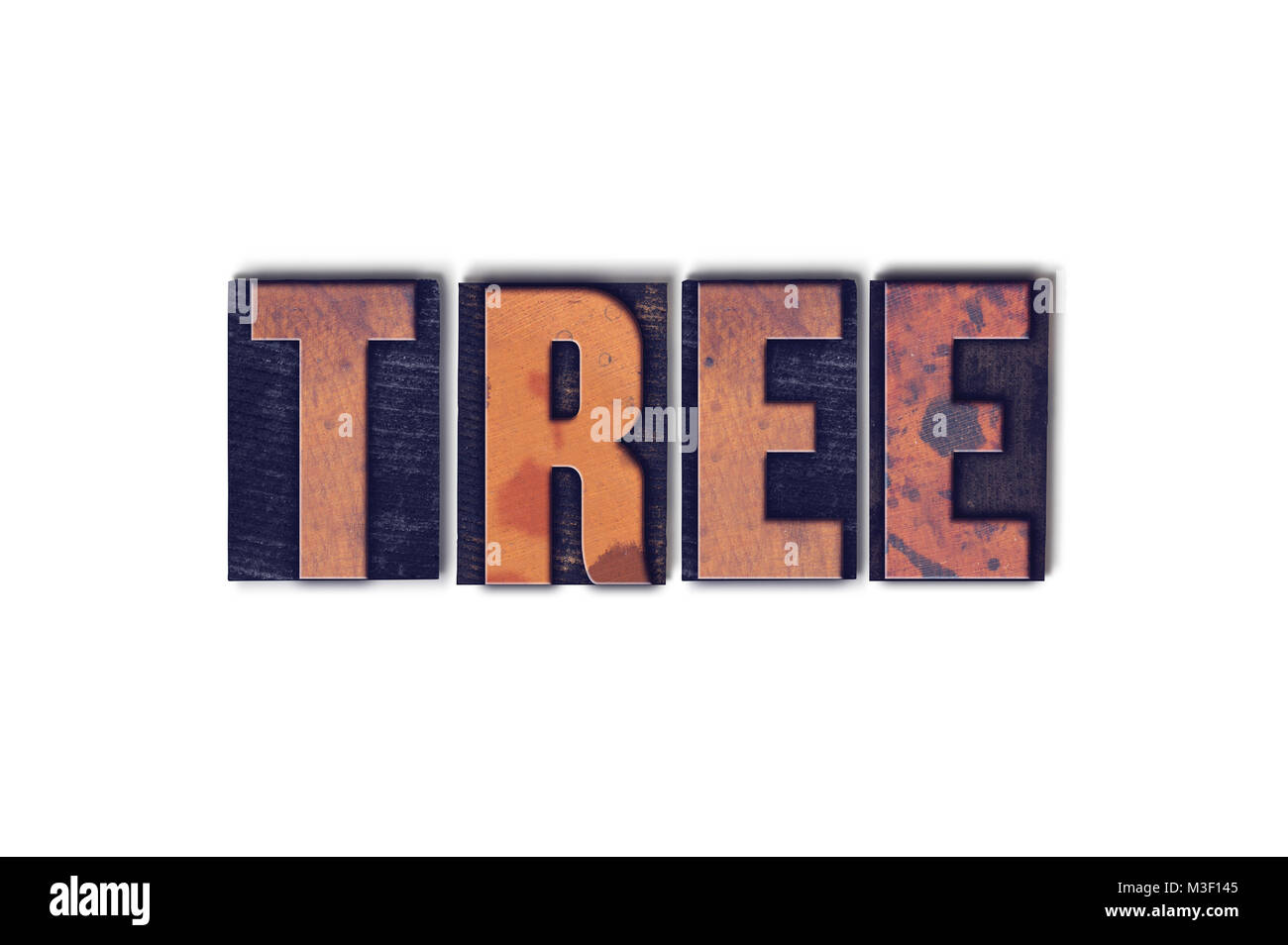 The word Tree concept and theme written in vintage wooden letterpress ...