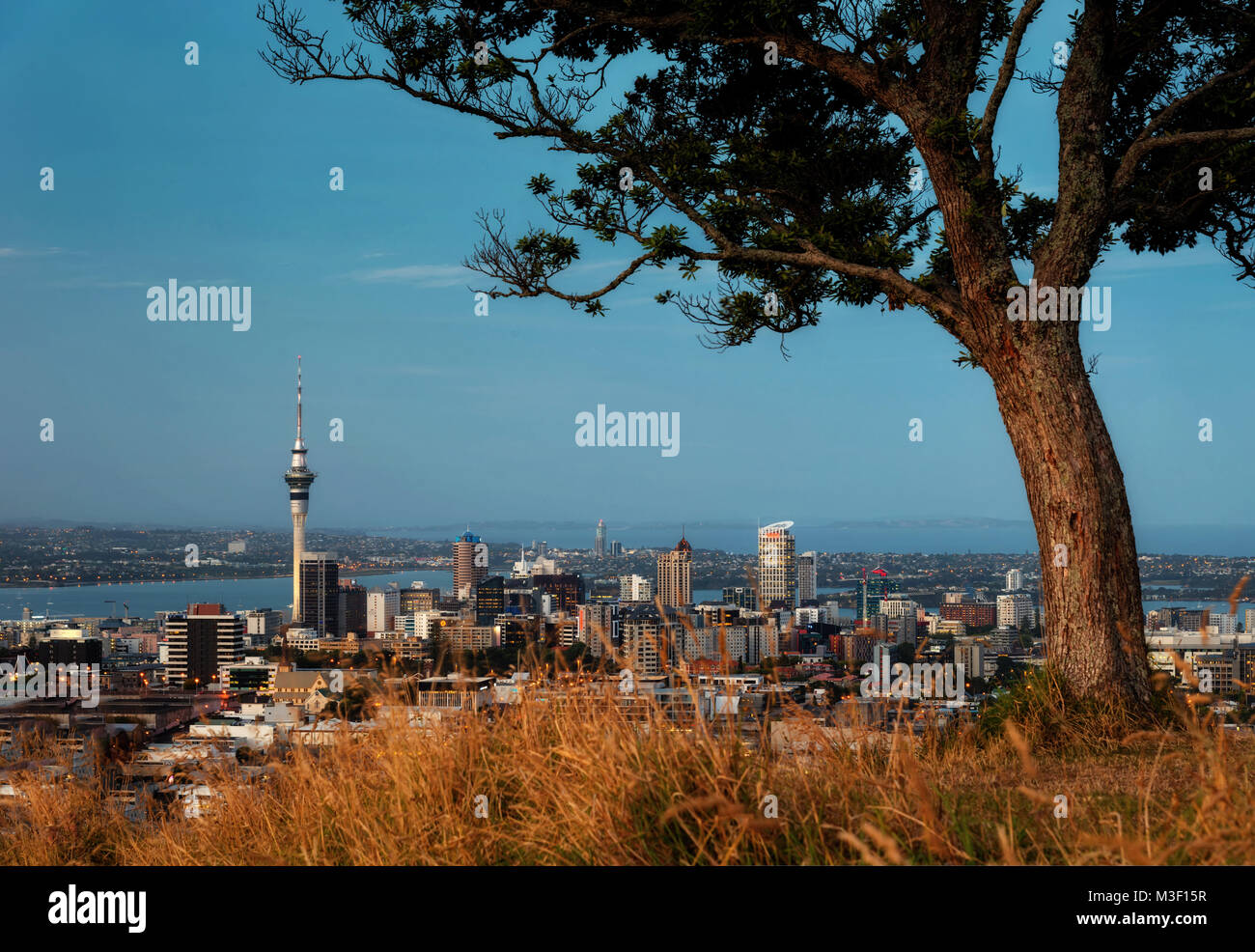 Mt eden volcano auckland hi-res stock photography and images - Alamy