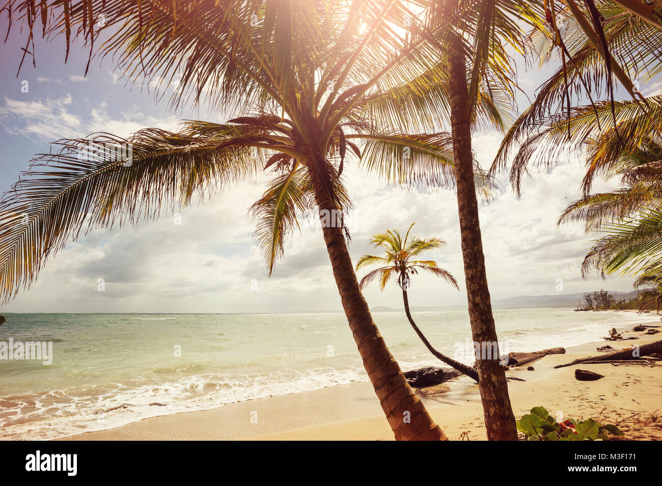 Beautiful tropical Pacific Ocean coast in Costa Rica Stock Photo - Alamy