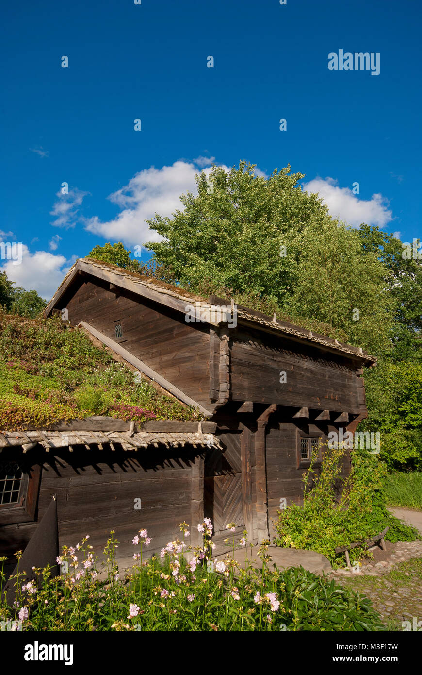 Traditional grass covered huts hi-res stock photography and images - Alamy