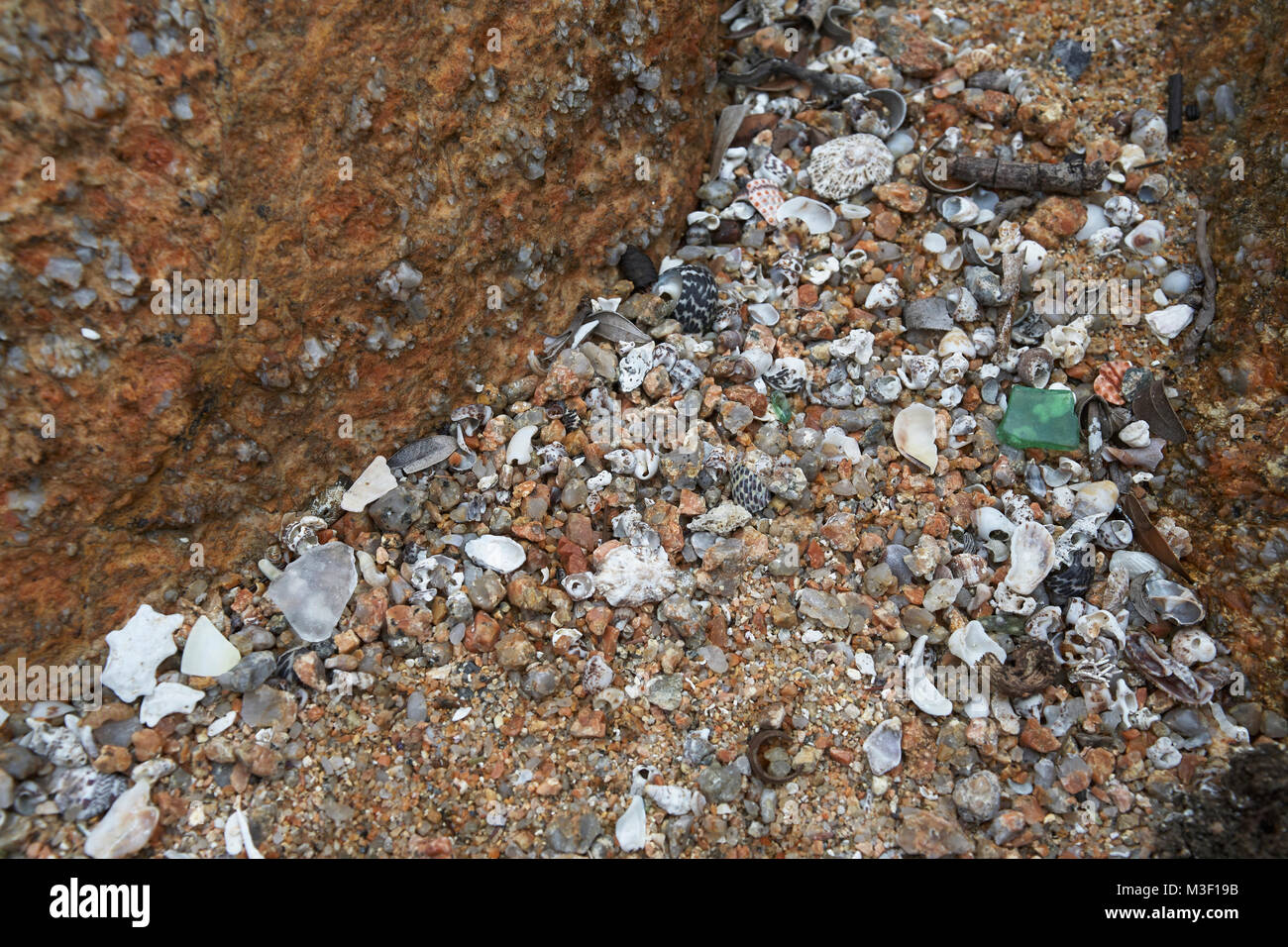 Sea shell fragments hi-res stock photography and images - Alamy