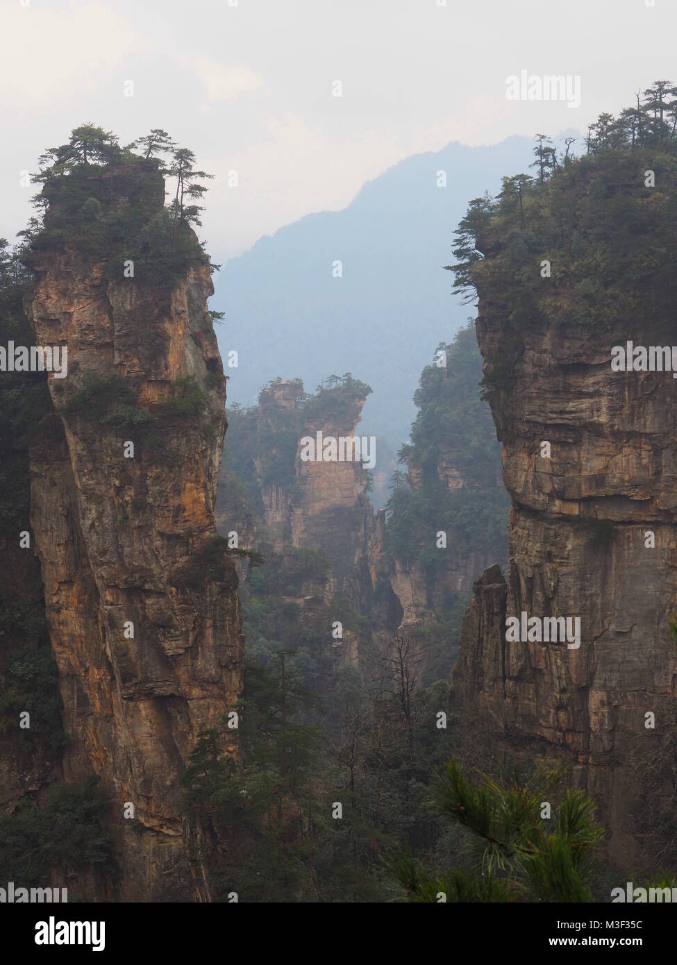 Avatar movie china hi-res stock photography and images - Alamy