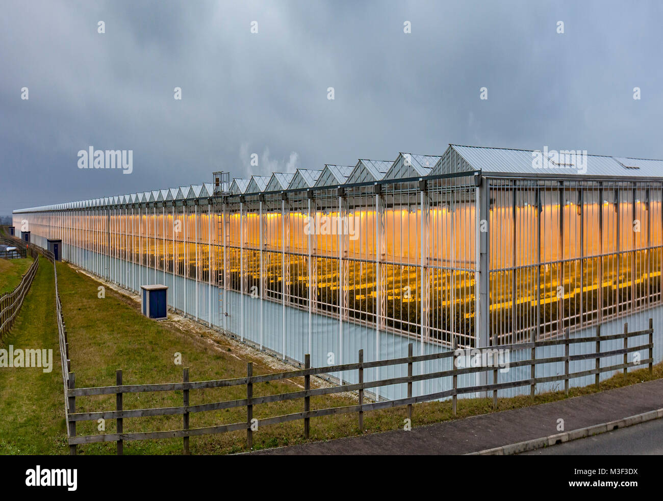 Thanet earth greenhouses hi-res stock photography and images - Alamy