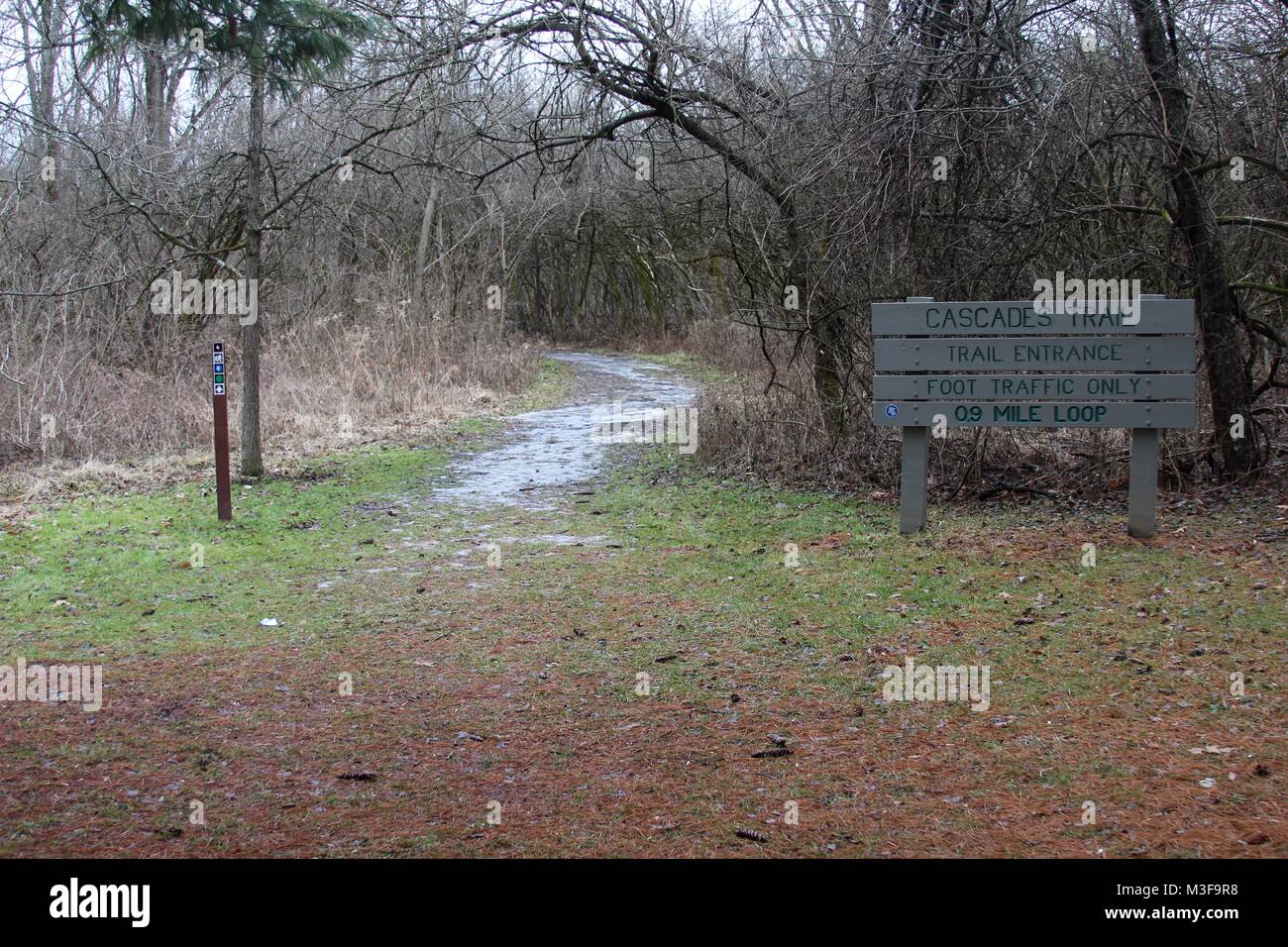 A day on the trails and in the park on a cloudy rainy cold winter day ...
