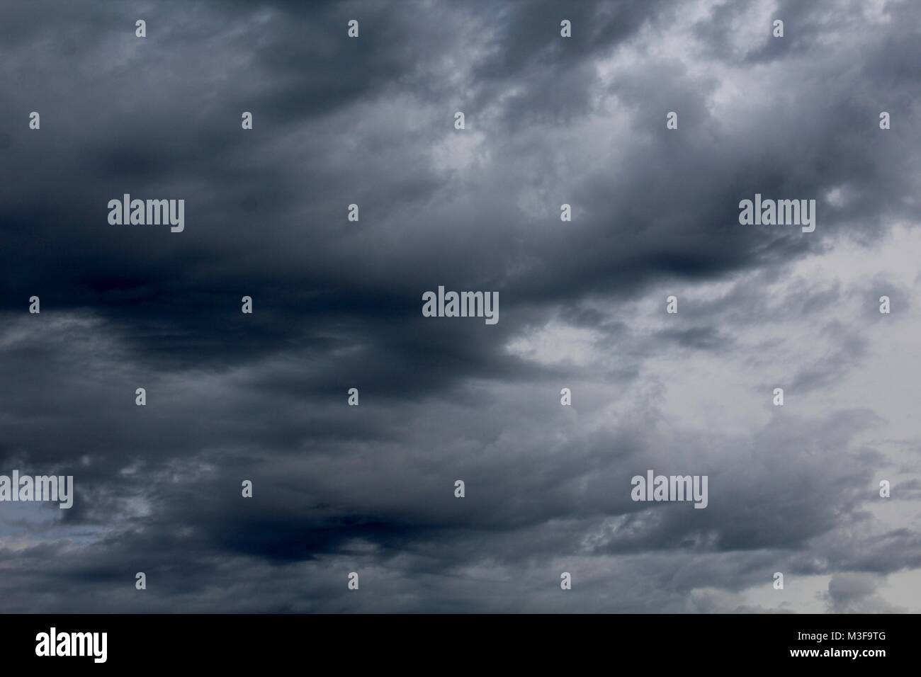 A day on the trails and in the park on a cloudy rainy cold winter day ...