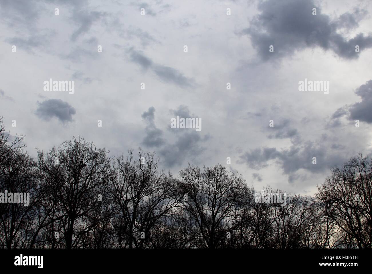 A day on the trails and in the park on a cloudy rainy cold winter day ...