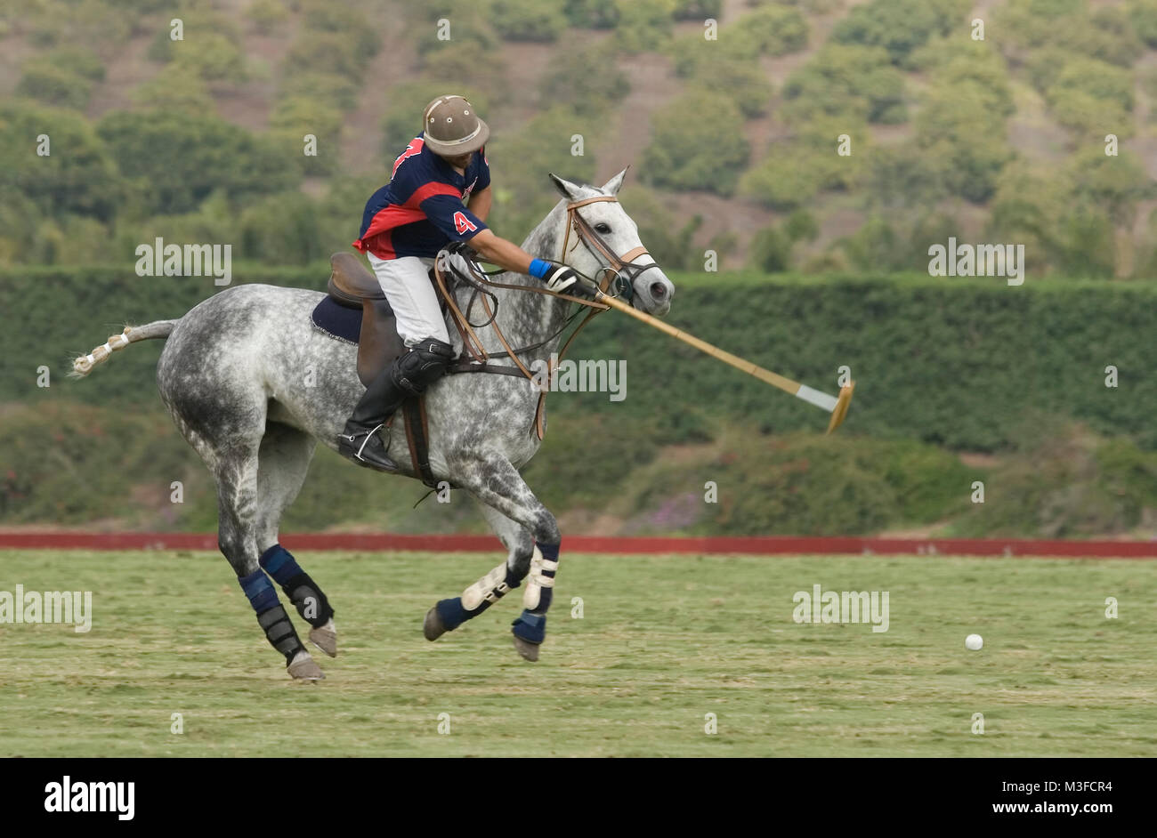 Polo practice session Stock Photo - Alamy