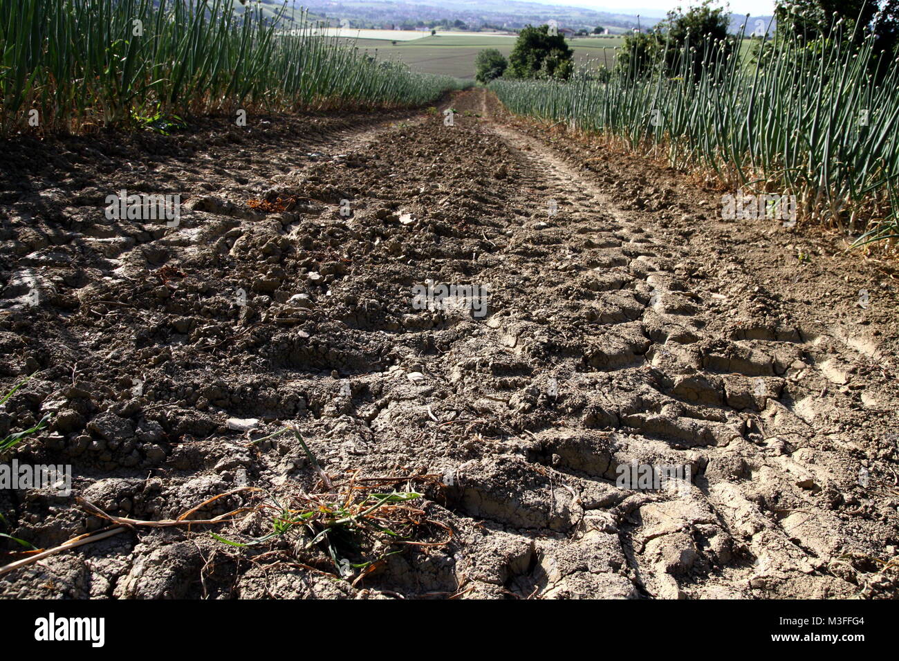 tractor work tracks Stock Photo - Alamy