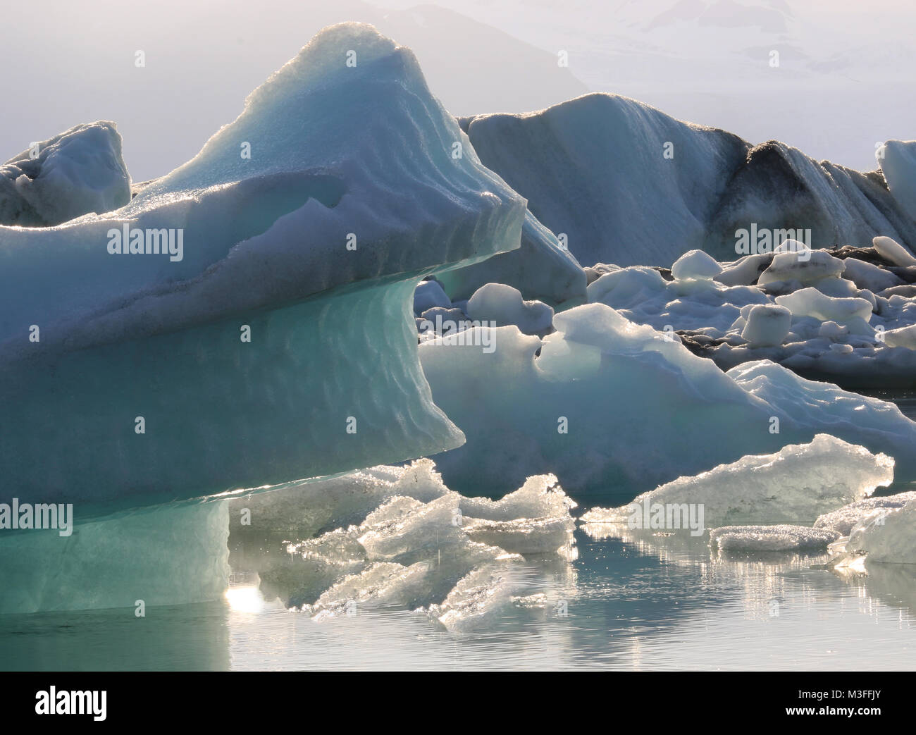 Ice environment hi-res stock photography and images - Alamy