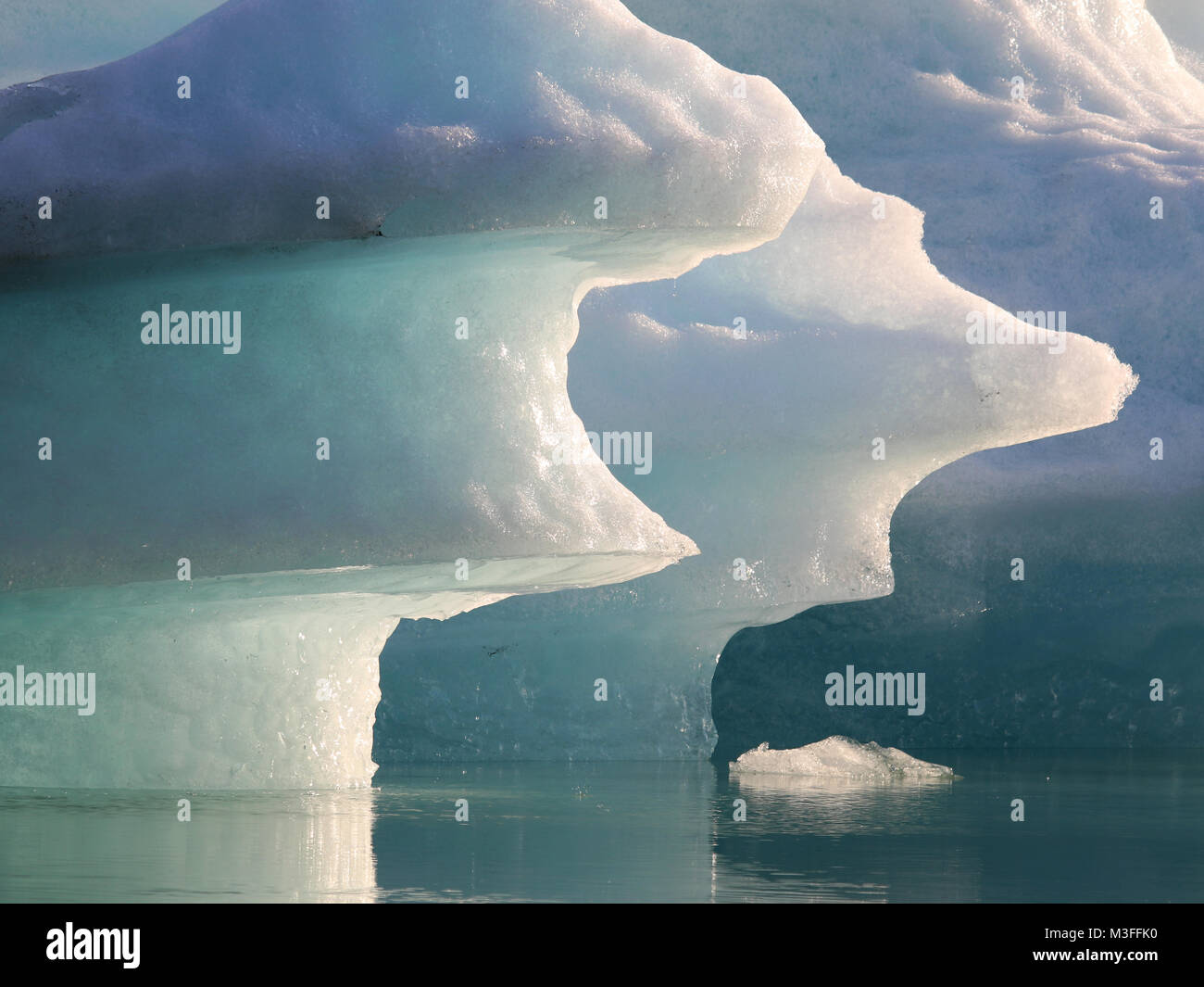 Ice environment hi-res stock photography and images - Alamy