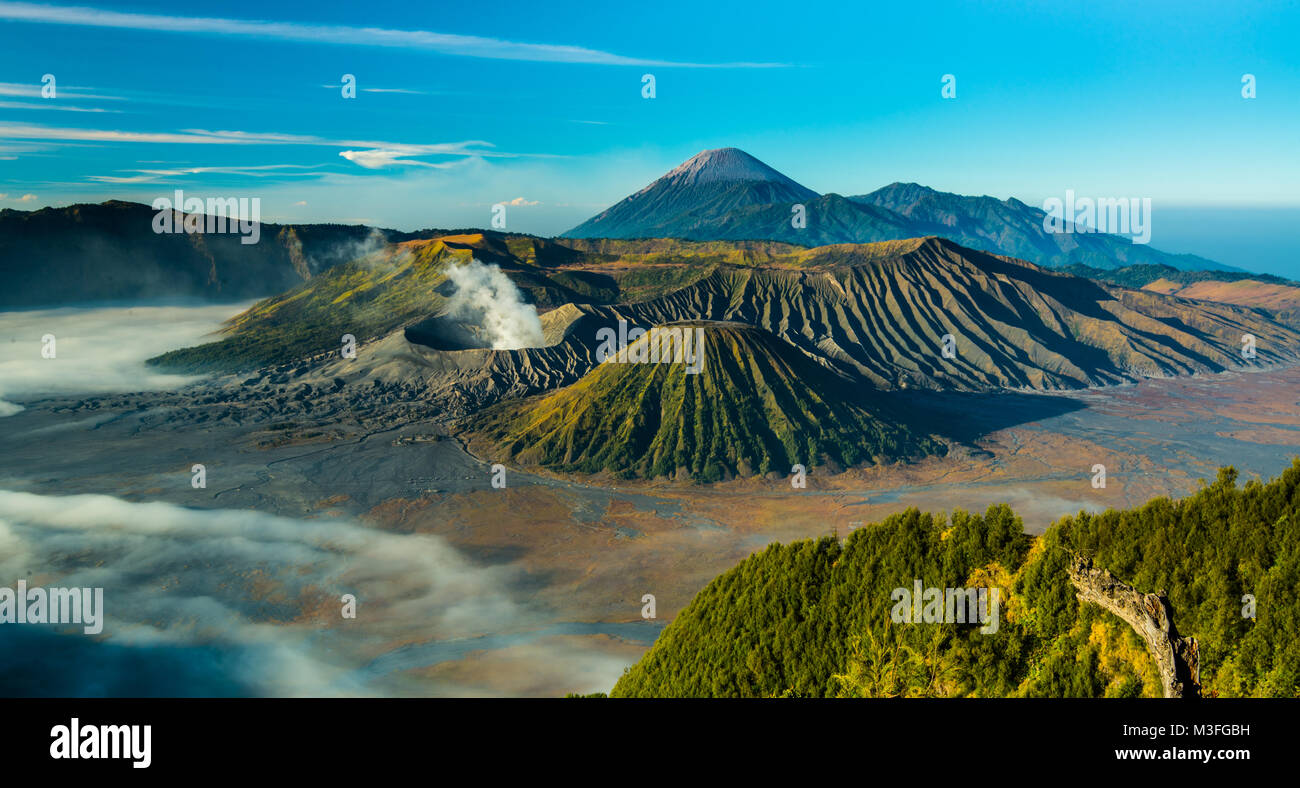 Bromo volcano during sunrise, East Java, Indonesia Stock Photo - Alamy