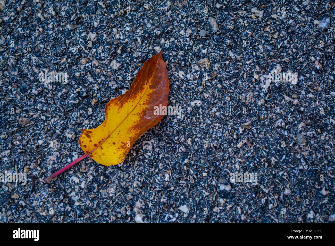 Closeup dry asphalt pavement hi-res stock photography and images - Alamy