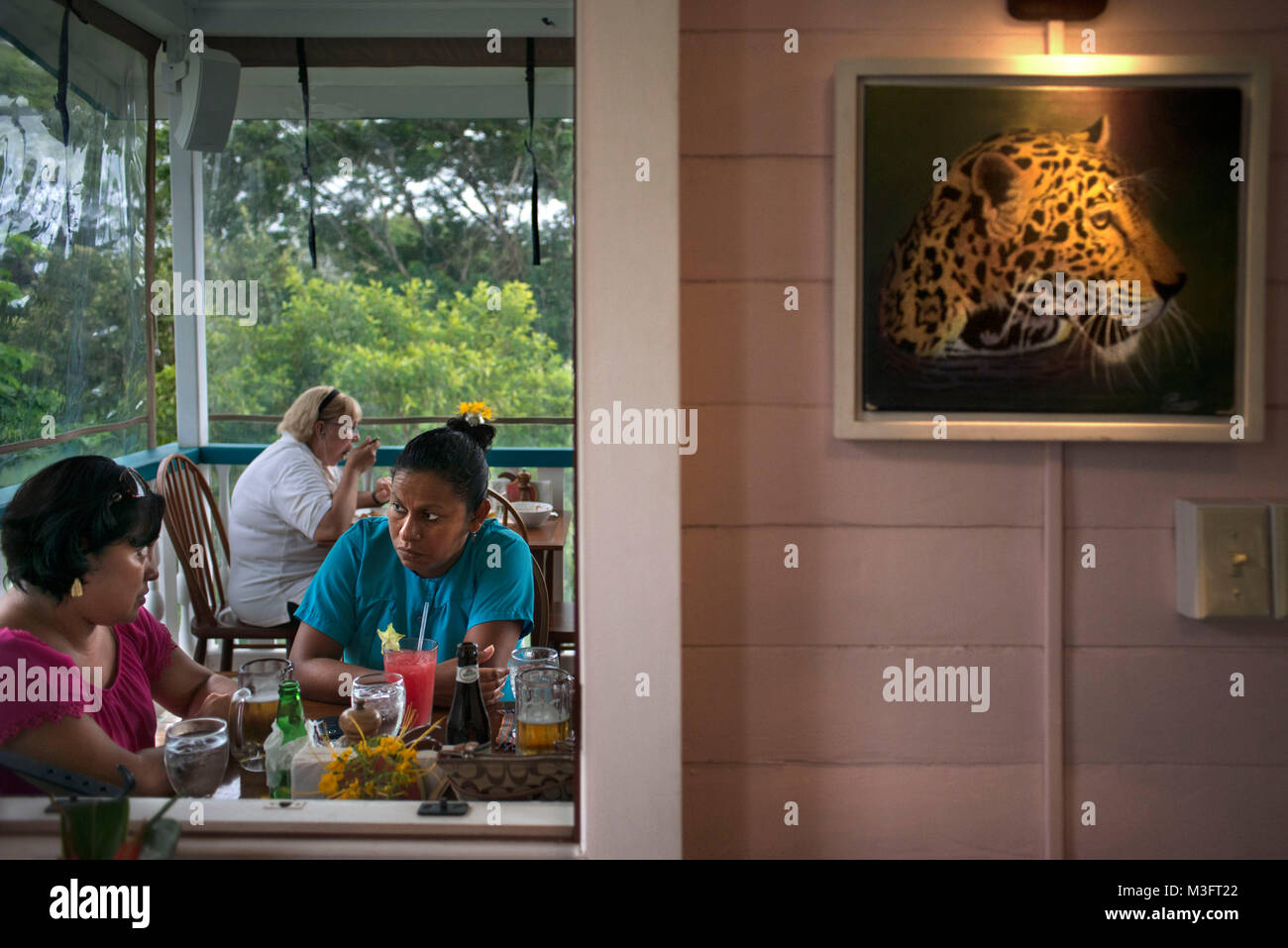 Guava Limb Cafe smart cafe and bar in San Ignacio city, Cayo, west ...