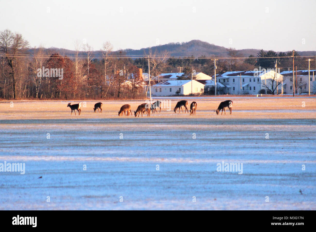 Fort mccoy directorate of public works hi-res stock photography and ...