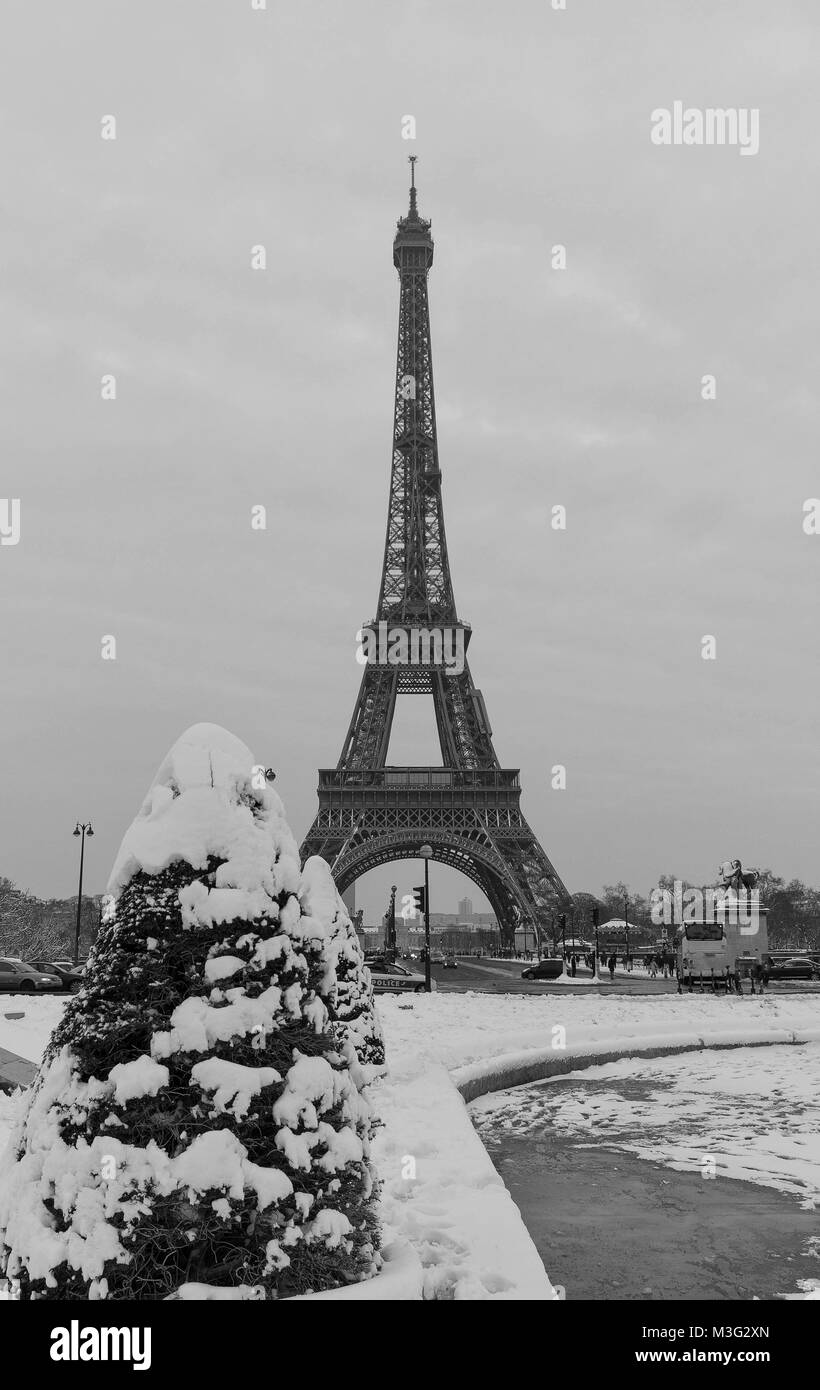 Eiffel tower and pine tree under the snow in winter - Paris Stock Photo ...