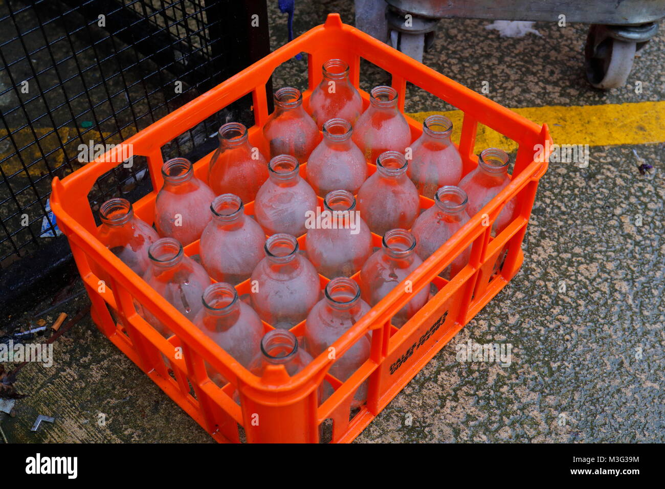 A full crate of empty traditional milk bottles Stock Photo - Alamy